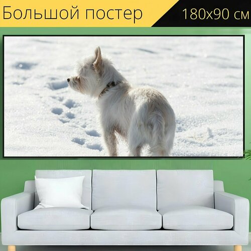 Большой постер "Собака, белый, зима" 180 x 90 см. для интерьера