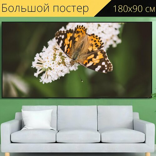 Большой постер "Бабочка, животное, дикая природа" 180 x 90 см. для интерьера