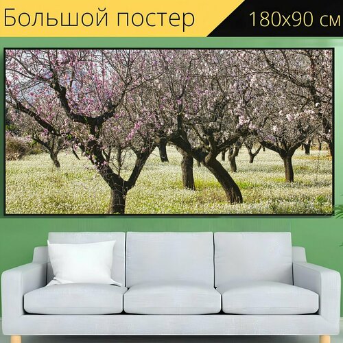 Большой постер "Цветок миндаля, миндальное дерево, весна" 180 x 90 см. для интерьера