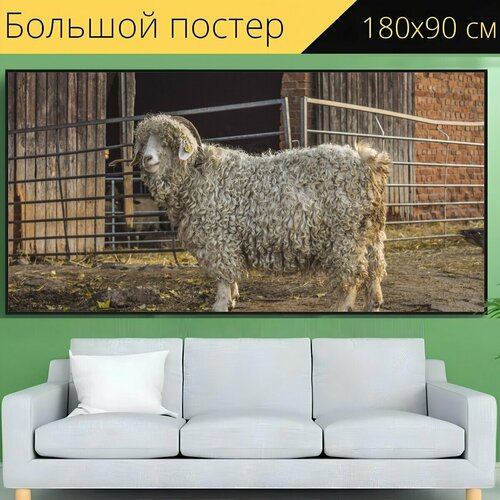 Большой постер "Животное, внутренние овцы, домашний скот" 180 x 90 см. для интерьера