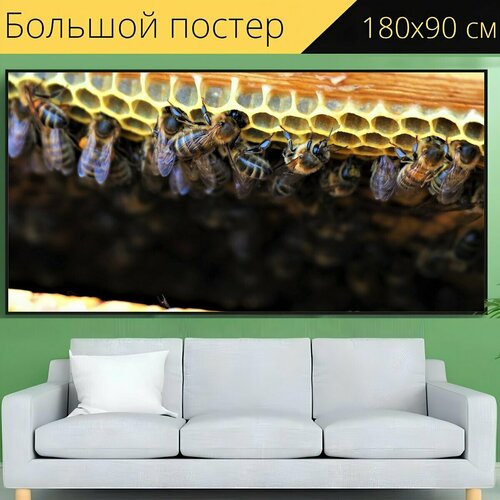 Большой постер "Пчелы, улей, мед" 180 x 90 см. для интерьера