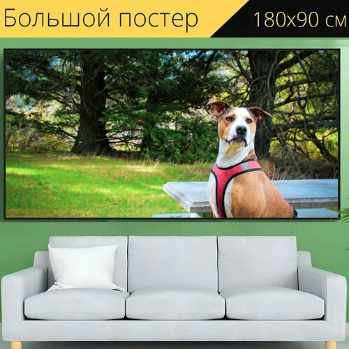 Большой постер "Собака, внимание, стол для пикника" 180 x 90 см. для интерьера