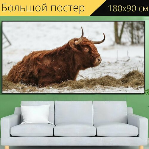 Большой постер "Животное, крупный рогатый скот, млекопитающее" 180 x 90 см. для интерьера
