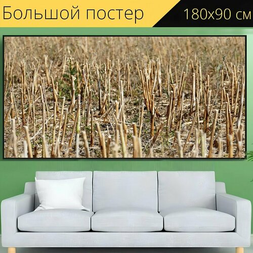 Большой постер "Кукурузное поле, солома, пахотные земли" 180 x 90 см. для интерьера