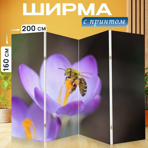 Ширма перегородка с принтом "Пчела, крокус, цветочная пыльца" на холсте - 200x160 см. для зонирования, раскладная