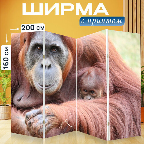 Ширма перегородка с принтом "Примат, обезьяна, зоопарк" на холсте - 200x160 см. для зонирования, раскладная