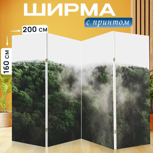 Ширма перегородка с принтом "Лес, деревья, туман" на холсте - 200x160 см. для зонирования, раскладная