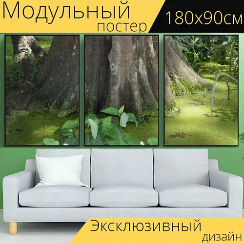 Модульный постер "Кипарис, деревья, природа" 180 x 90 см. для интерьера