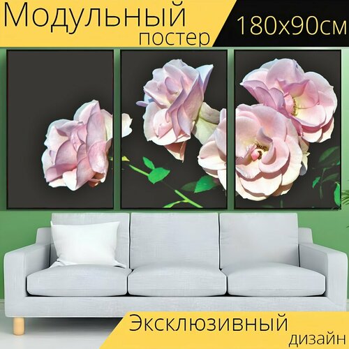 Модульный постер "Розы, лепестки роз, благородная роза" 180 x 90 см. для интерьера