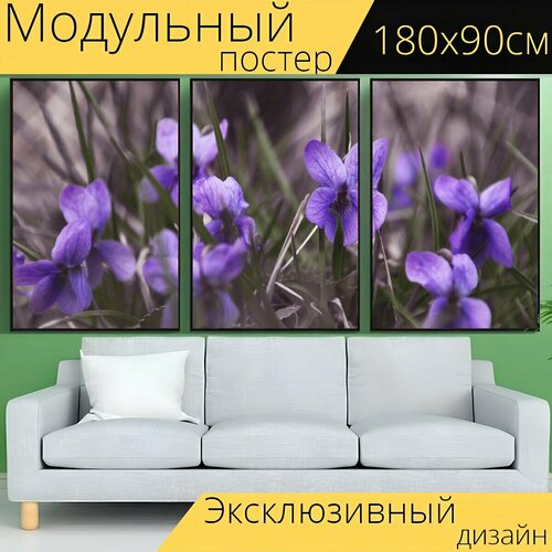 Модульный постер "Фиолетовый, виолетт, весна" 180 x 90 см. для интерьера