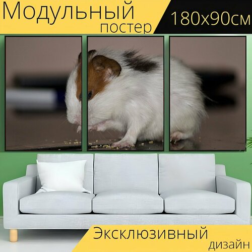 Модульный постер "Хомяк, домашний питомец, принимать пищу" 180 x 90 см. для интерьера
