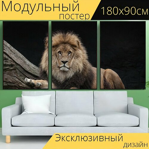 Модульный постер "Лев, мужчина, король" 180 x 90 см. для интерьера