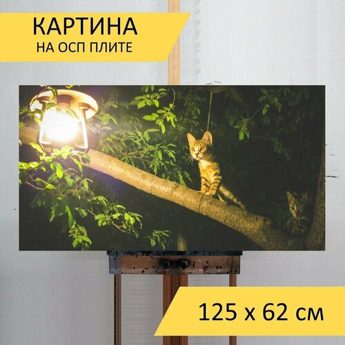 Картина на ОСП 125х62 см. "Кошки, животные, свет" горизонтальная, для интерьера, с креплениями