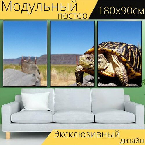 Модульный постер "Черепаха, рептилия, камень" 180 x 90 см. для интерьера
