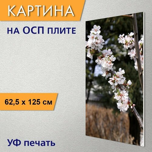 Вертикальная картина на ОСП "Цветение сливы, цветок, весна" 62x125 см. для интерьериа