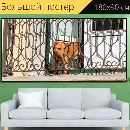Большой постер "Собака, балкон, мировоззрение" 180 x 90 см. для интерьера