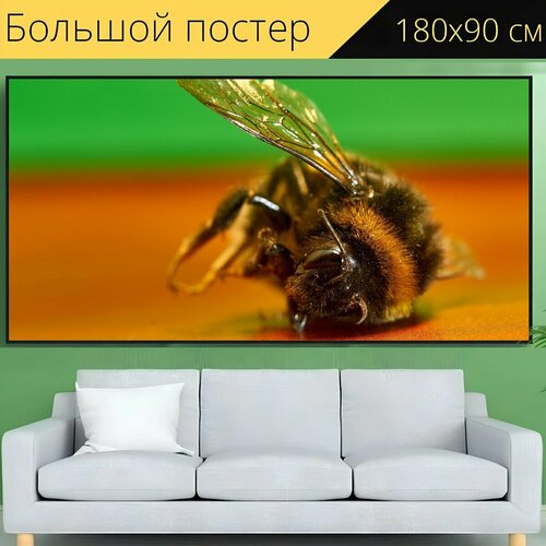 Большой постер "Пчела, макрос, насекомое" 180 x 90 см. для интерьера
