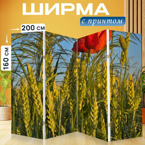 Ширма перегородка с принтом "Мак, пшеничное поле, пшеница" на холсте - 200x160 см. для зонирования, раскладная