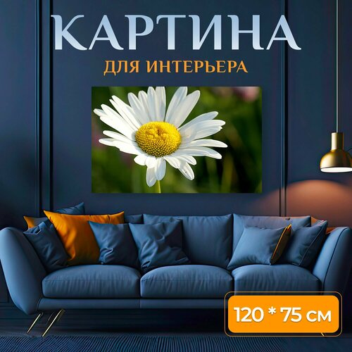 Картина на холсте "Ромашка, цветок, ромашки" на подрамнике 120х75 см. для интерьера