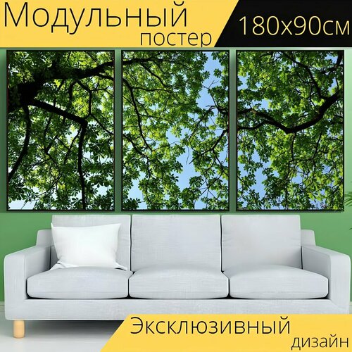 Модульный постер "Деревья, зелень, листья" 180 x 90 см. для интерьера