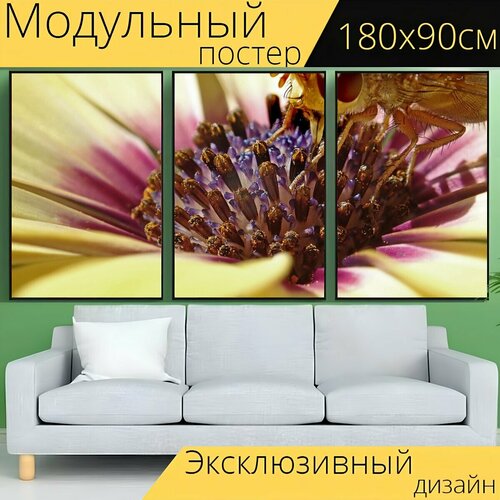 Модульный постер "Летать, насекомое, цветок" 180 x 90 см. для интерьера