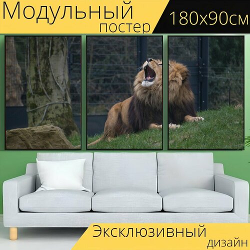 Модульный постер "Лев, зоопарк, зоопарк хайдельберга" 180 x 90 см. для интерьера