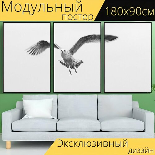Модульный постер "Птица, чайка, янг" 180 x 90 см. для интерьера
