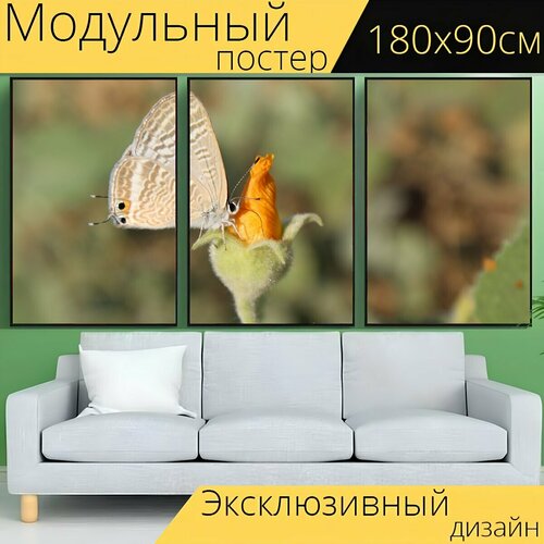 Модульный постер "Природа, бабочка, на открытом воздухе" 180 x 90 см. для интерьера