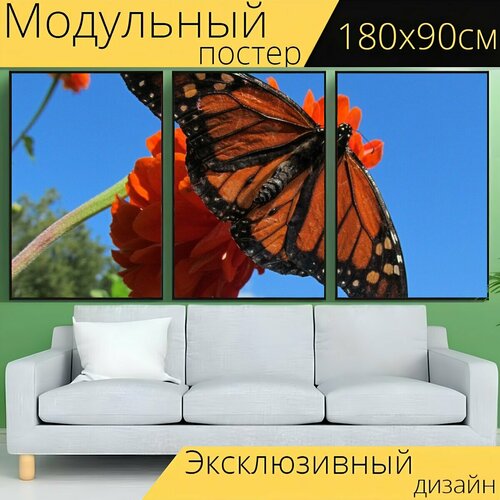 Модульный постер "Бабочка, цветок, апельсин" 180 x 90 см. для интерьера