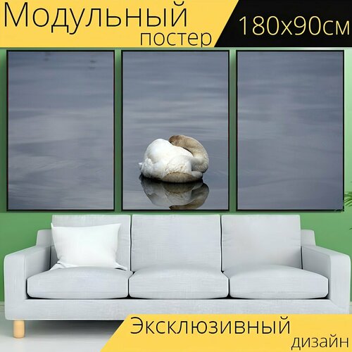 Модульный постер "Лебедь, море, вода" 180 x 90 см. для интерьера