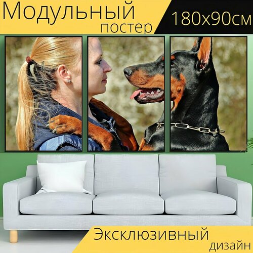 Модульный постер "Доберман, собака, объятие" 180 x 90 см. для интерьера