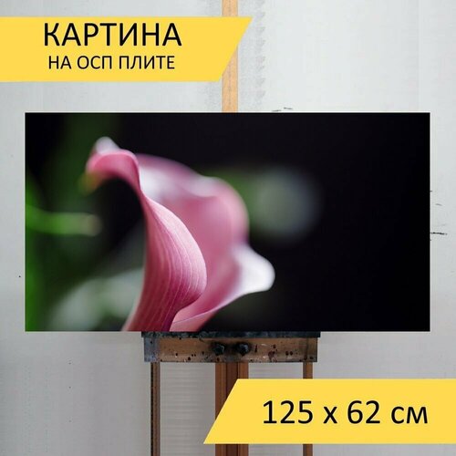 Картина на ОСП 125х62 см. "Калла лилли, цветок, природа" горизонтальная, для интерьера, с креплениями