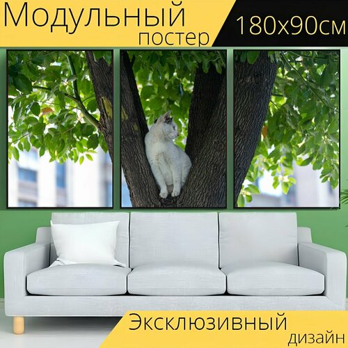 Модульный постер "Дерево, кот, топ" 180 x 90 см. для интерьера