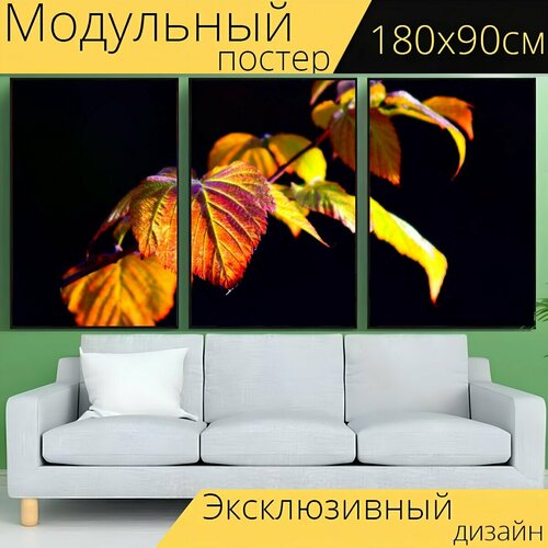 Модульный постер "Ежевики усик, листья, подсветка" 180 x 90 см. для интерьера