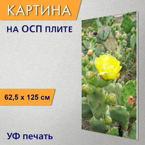Вертикальная картина на ОСП "Кактус, цветок, завод" 62x125 см. для интерьериа