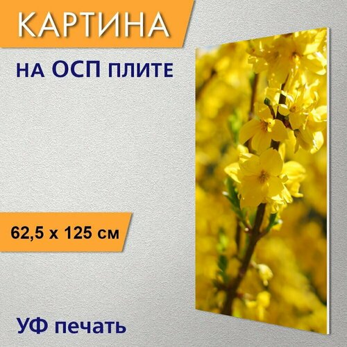 Вертикальная картина на ОСП "Веточка, золотой дождь, весна" 62x125 см. для интерьериа