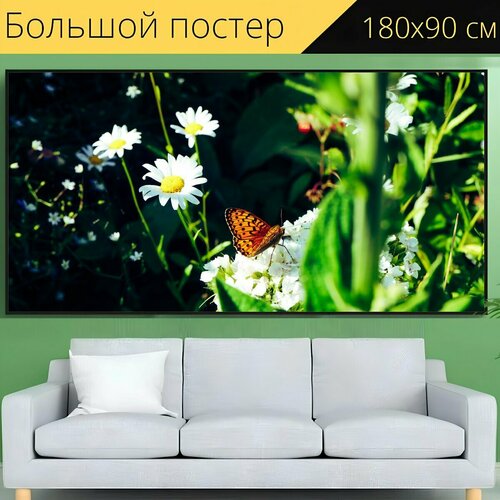 Большой постер "Бабочка, насекомое, жук" 180 x 90 см. для интерьера