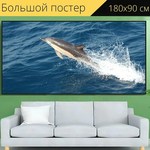 Большой постер "Дельфин, прыжки, плавание" 180 x 90 см. для интерьера