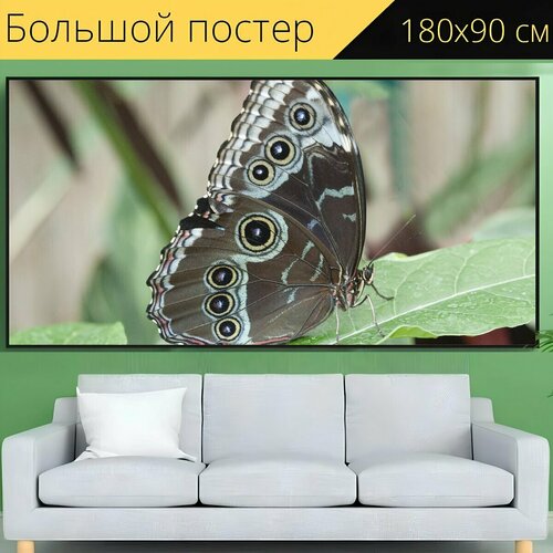 Большой постер "Бабочка, природа, лето" 180 x 90 см. для интерьера