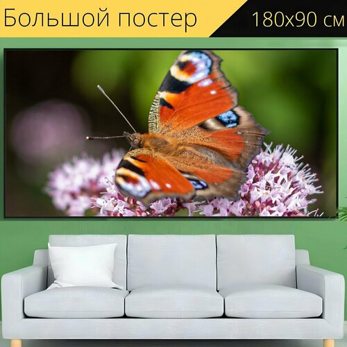 Большой постер "Бабочка, павлинья бабочка, насекомое" 180 x 90 см. для интерьера
