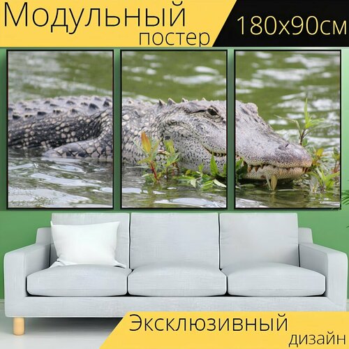 Модульный постер "Аллигатор, болото, дикая природа" 180 x 90 см. для интерьера