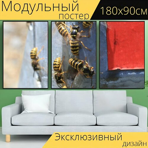Модульный постер "Осы, осиное гнездо, насекомые" 180 x 90 см. для интерьера