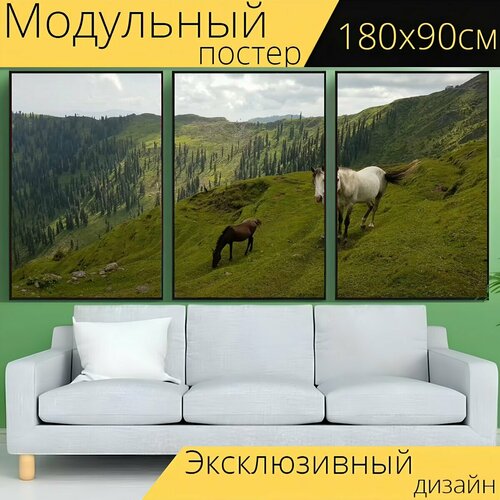 Модульный постер "Лошади, животное, млекопитающее" 180 x 90 см. для интерьера