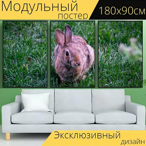 Модульный постер "Кролик, животное, дикий кролик" 180 x 90 см. для интерьера