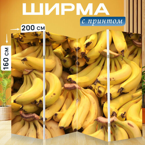 Ширма перегородка с принтом "Бананы, фрукты, тропические фрукты" на холсте - 200x160 см. для зонирования, раскладная