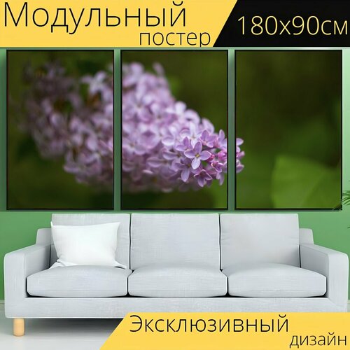 Модульный постер "Сирень, весна, цветы" 180 x 90 см. для интерьера