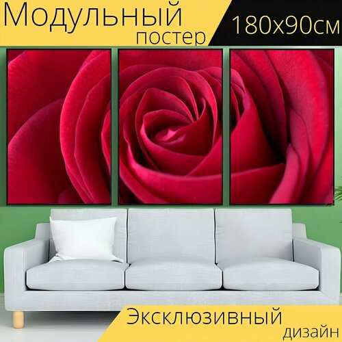 Модульный постер "Роза, красный, любовь" 180 x 90 см. для интерьера