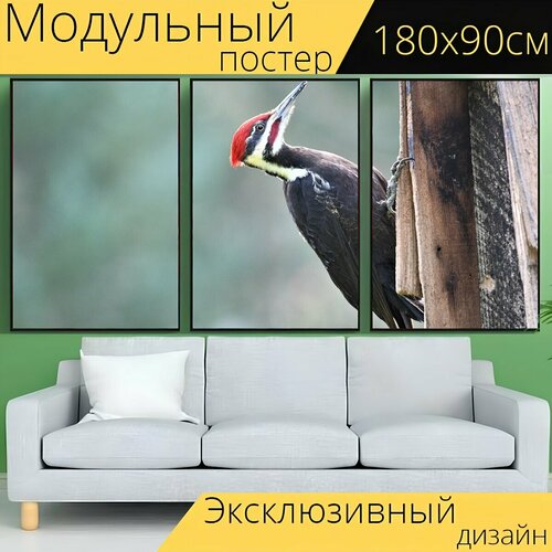 Модульный постер "Пестрый дятел, птица, древесина" 180 x 90 см. для интерьера