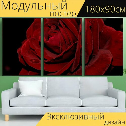 Модульный постер "Роза, лепесток, цветок" 180 x 90 см. для интерьера