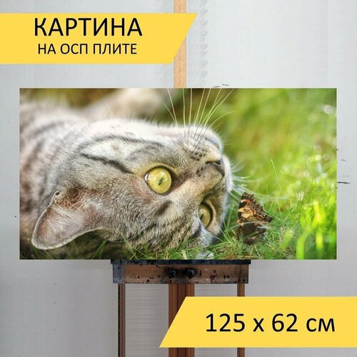 Картина на ОСП 125х62 см. "Кот, бабочка, домашняя кошка" горизонтальная, для интерьера, с креплениями